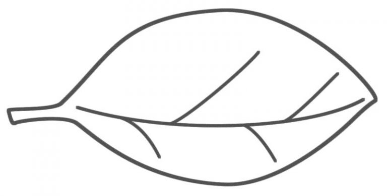 Molde de Folha em EVA, Papel, Feltro e Mais: 30 Modelos para Imprimir ...