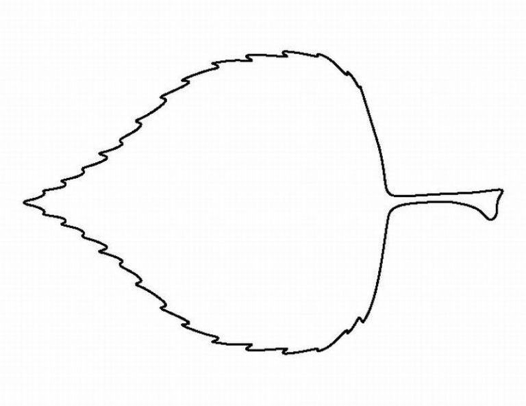 Molde de Folha em EVA, Papel, Feltro e Mais: 30 Modelos para Imprimir ...