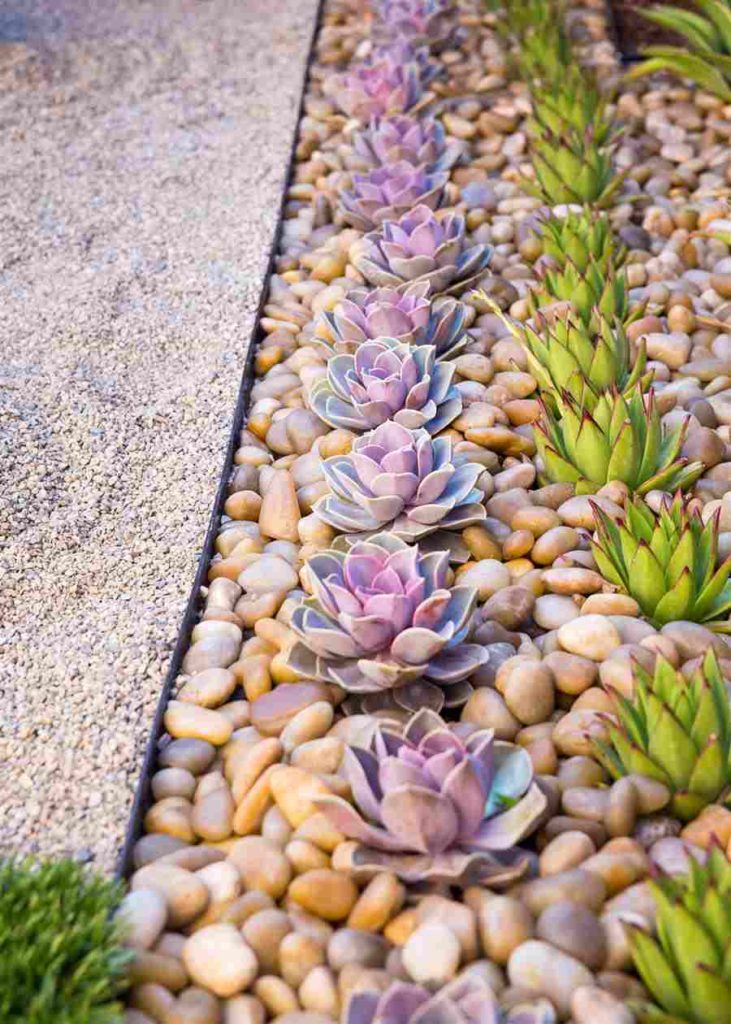 Pedras para jardim: qual tipo usar para criar uma decoração harmoniosa ...
