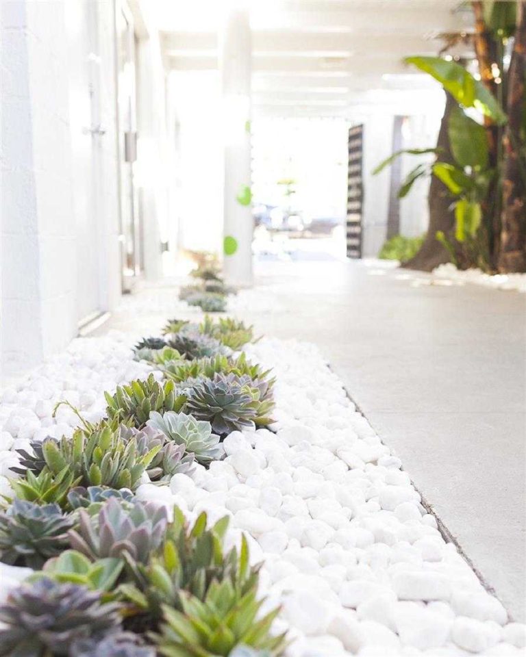 Pedras para jardim: qual tipo usar para criar uma decoração harmoniosa ...