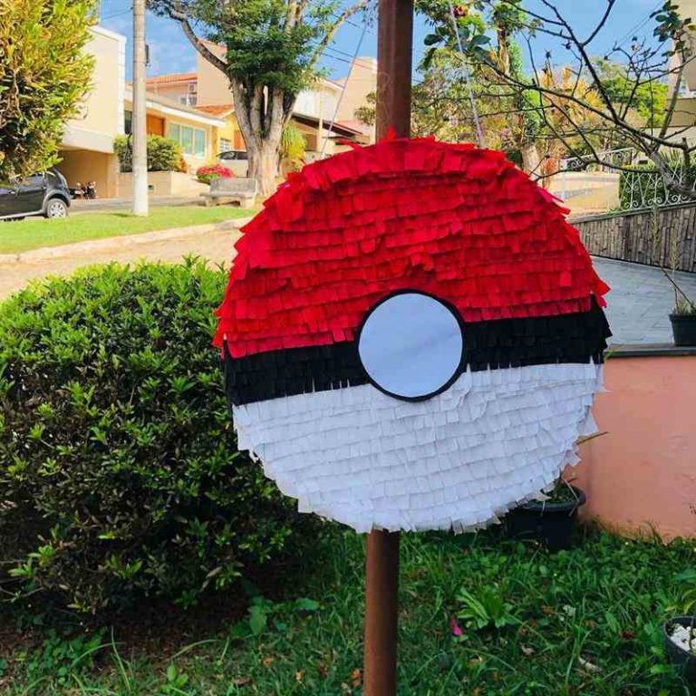 Pichorra: o que é, como fazer um modelo fácil e divertido - Artesanato ...