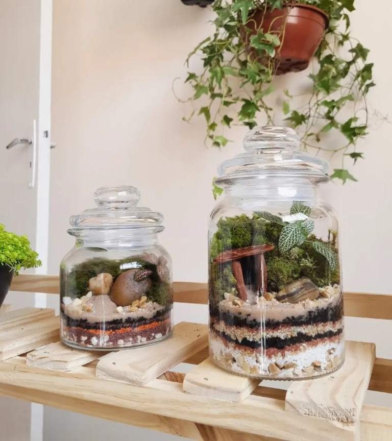 Terrário fechado: como fazer, melhores plantas e como cuidar ...