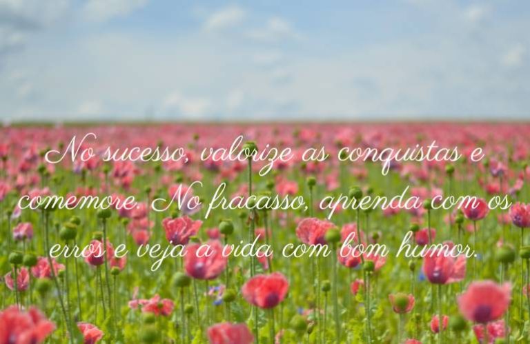 52 Palavras motivacionais curtas para despertar a criatividade ...