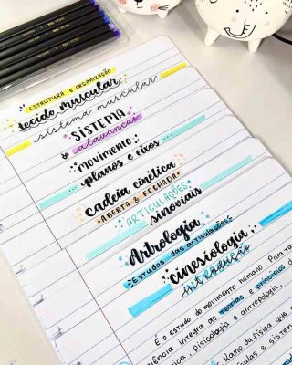 Caderno organizado: dicas +30 Ideias para deixar tudo bonito ...