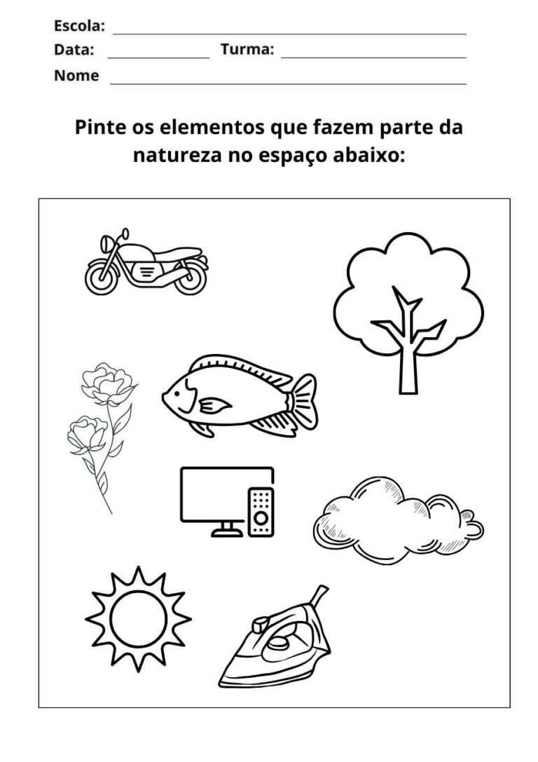 Elementos da Natureza: colagem, artes e atividades divertidas ...