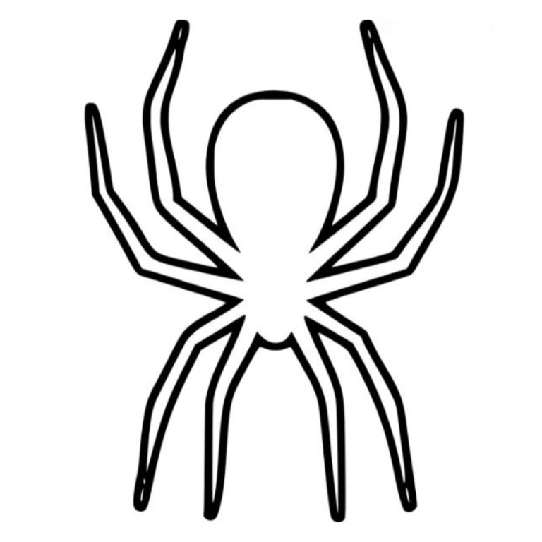 Molde Aranha Para Imprimir Tamanhos Pequeno E Grande Artesanato Passo