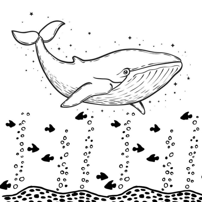Desenho de baleia para colorir e imprimir - Artesanato Passo a Passo!