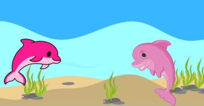 Molde do Boto Cor de Rosa para imprimir - Artesanato Passo a Passo!