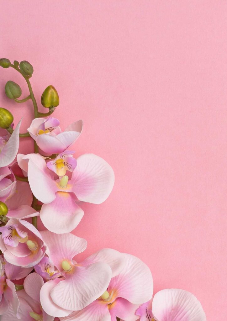 Capas de caderno personalizadas para imprimir grátis - Artesanato Passo ...